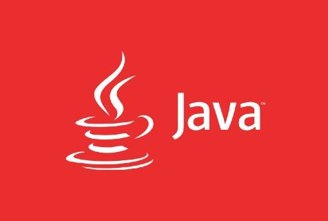 I.C.S.E Board Java objective questions practise Paper